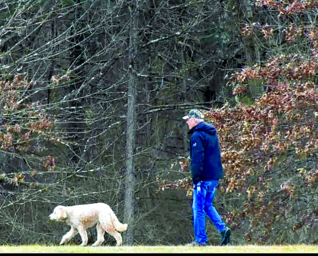 Sunday dog walk to benefit Perry County animal rescue | News, Sports ...